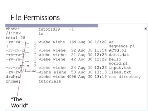 Linuxcommandsforbeginnerspowerpointpresentationpptx