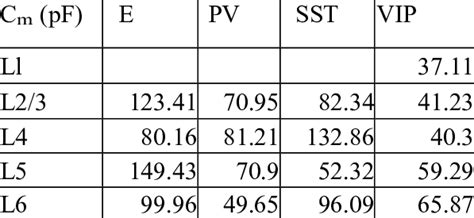 Membrane Capacitance For Each Group Of Cells The Values Are Taken From Download Scientific