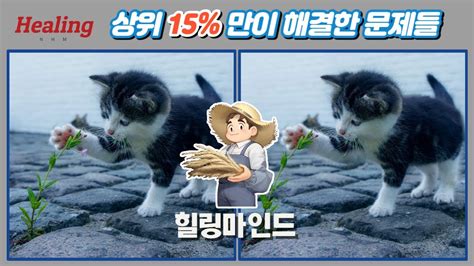 틀린그림찾기힐링사진 하루하루 두뇌운동을 통해 집중력을 길러보세요 다른그림찾기 And 두뇌운동 Youtube