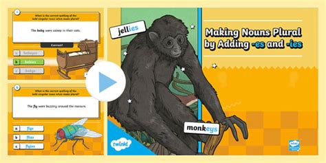Making A Noun Plural By Adding S Es And Replacing Y With Ies Language