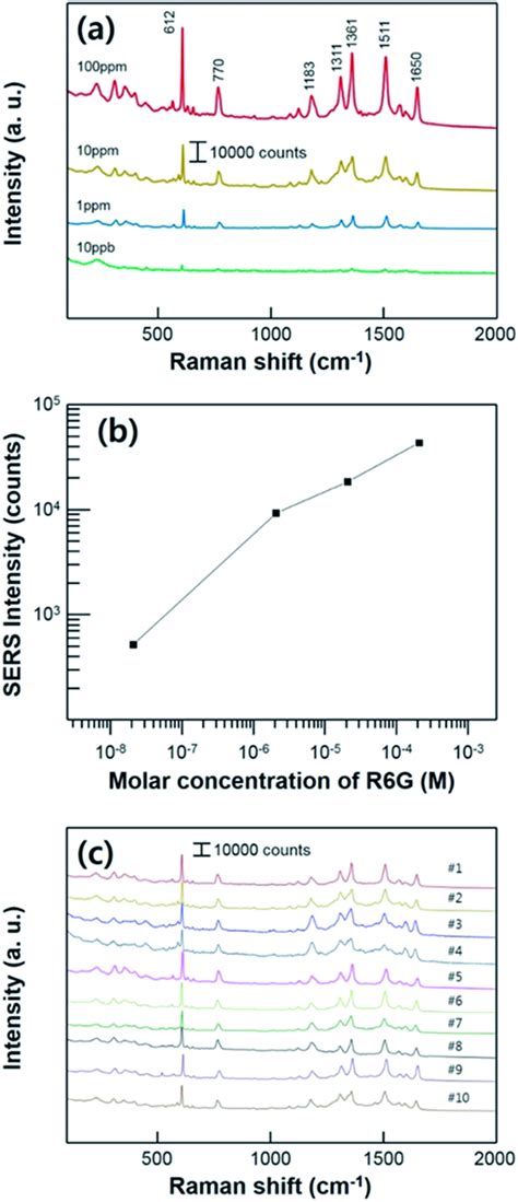 A The Raman Spectra Of The R6g With Different Concentrations Of
