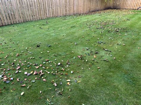 Clyde Odd Jobs Glasgow