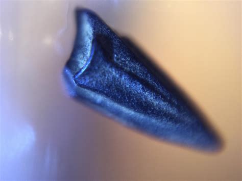 Id Cretaceous Marine Microfossils Teeth Fossil Id The Fossil Forum