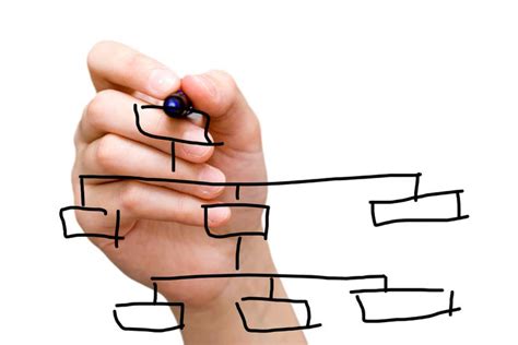 How To Use A Tree Diagram For Probability
