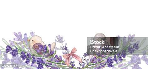 라벤더 장난감 새 텍스트를 위한 공간이 있는 직사각형 배너 프로방스 꽃의 수채화 그림 프렌치 스타일 식물 꽃 엽서 패키지 명함에 적합합니다 0명에 대한 스톡 벡터 아트 및