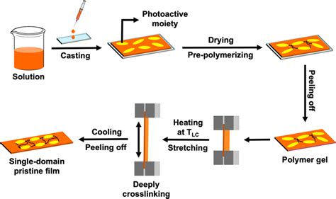 Preparation Process Of Bulk Films By The Two‐step Cross‐linking Method