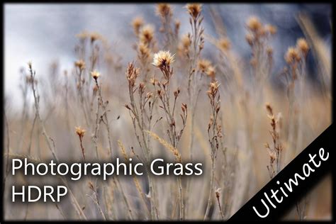Photographic Grass Ultimate 3d Plants Unity Asset Store Photographic Grass Ultimate 3d Plants Unity Asset Store