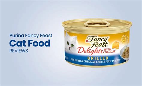 Purina Fancy Feast Gravy Wet Cat Food Review