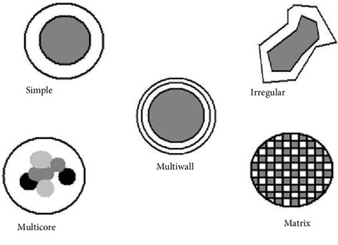 Figure 1 From Development Of Microencapsulation Delivery System For Long Term Preservation Of