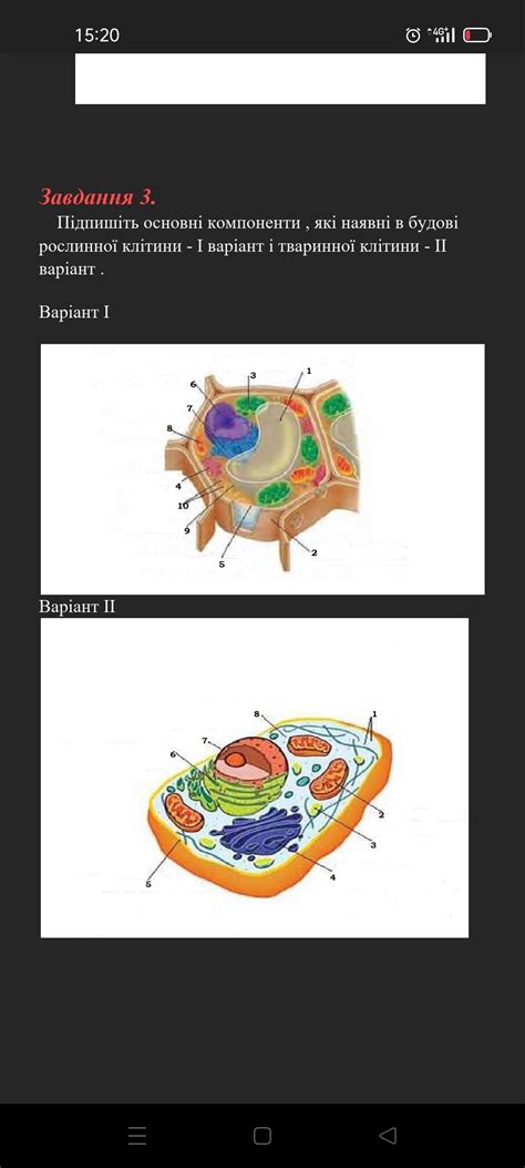 Підпишіть основні компоненти які наявні в будові рослинної клітини І варіант і тваринної