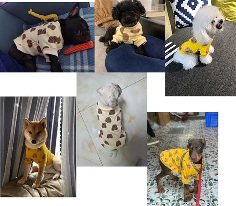 Badu Bg Модни дрехи за кученца Облекла за кучета френски булдог пудел шнауцер померан корги