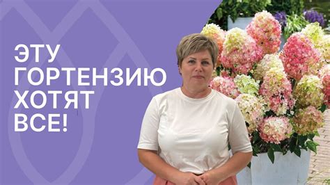 Самая красивая миниатюрная гортензия! - YouTube