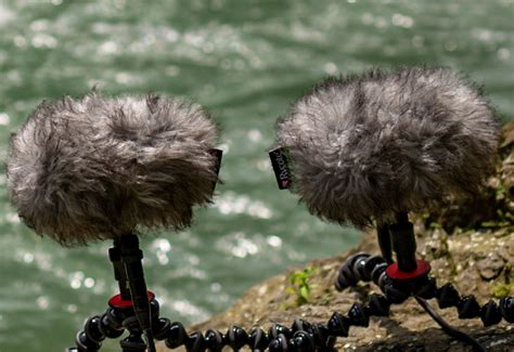 Rycote Amber Technology New Zealand