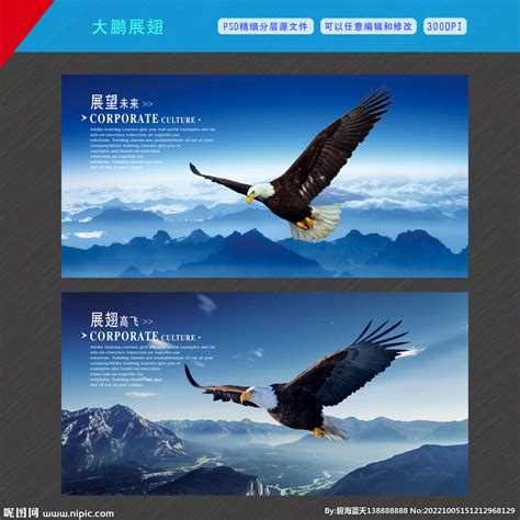 大鹏展翅设计图 展板模板 广告设计 设计图库 昵图网