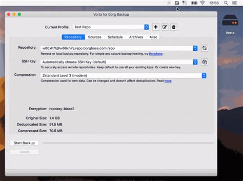 vorta borgbase docs