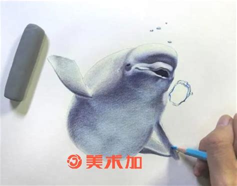 新手学彩铅可以学会吗？ 哔哩哔哩
