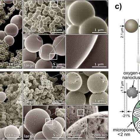 Microsphere Morphology Of Tre Ms Helium Ion Microscopy Of A Tre Pms