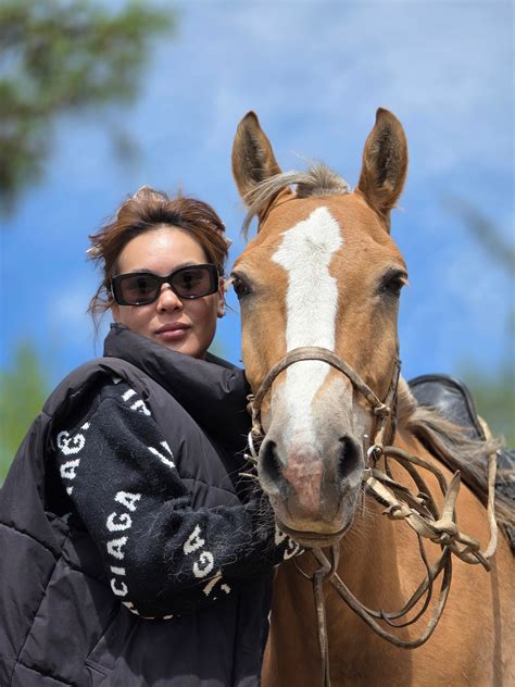 Монгол Морь Нохой Чарга Added Монгол Морь Нохой Чарга