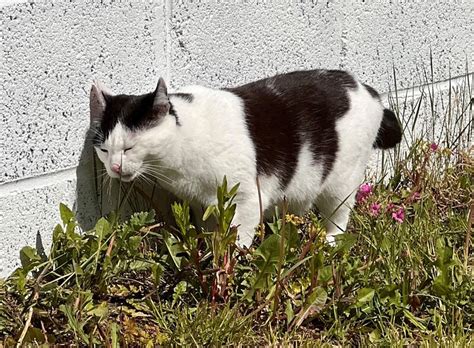 Linkedin Is Basically Turning Into A Professional Instagram Khalid Farhan Zillion Media