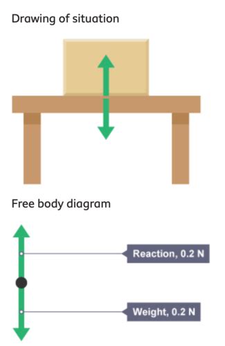 Force Mass And Weight Flashcards Quizlet