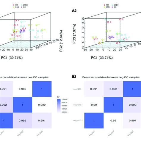 The Results Of The Total Pls Da Score Plots From The Uplc Ms Spectra Download Scientific
