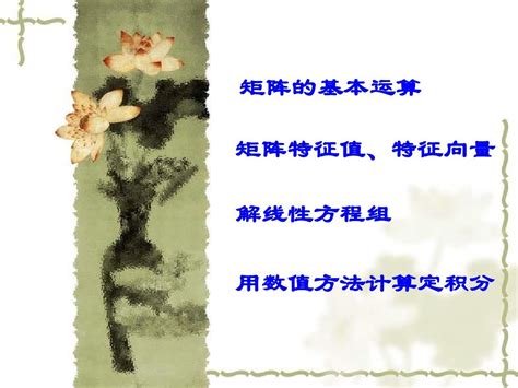 Matlab软件——矩阵与线性方程组word文档在线阅读与下载无忧文档