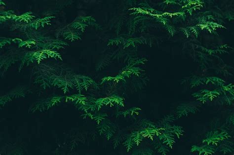 Test Driven Development With React And Redux Using Redux Tdd