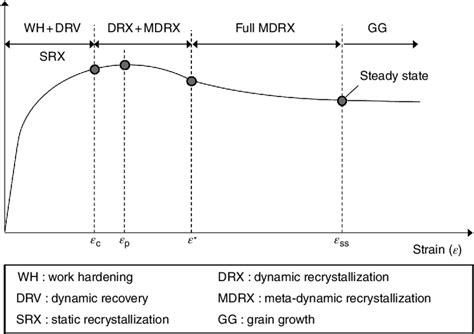 6 Schematic Illustration Representing The Classification Of Download Scientific Diagram