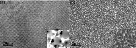 A Sem Image Of Zno Inverse Opal B Sem Image Of Zno Nanowires Download Scientific Diagram