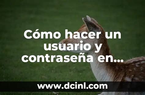Cómo Hacer Un Usuario Y Contraseña En Python 5 Ejemplos