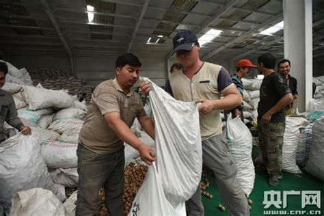 上海產業援疆新模式 促進就業精準扶貧 每日頭條