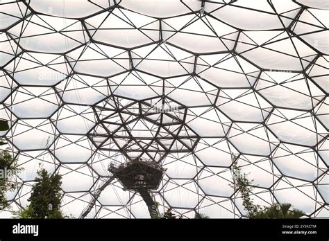 A Close Up View Of A Geodesic Dome Structure Showcasing The Intricate Triangular Framework And