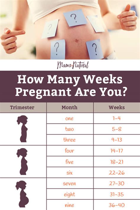 How Many Weeks Pregnant Am I Here S The Most Accurate Answer