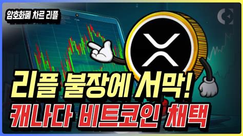 리플 불장에 서막 캐나다 비트코인 채택 Xrp 솔라나 Youtube
