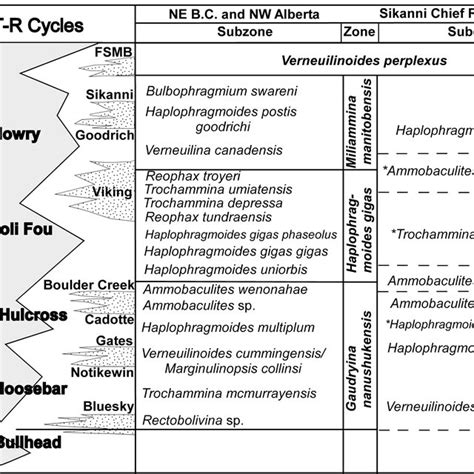 Schematic Diagram Of Major Transgressiveregressive Sequences Of