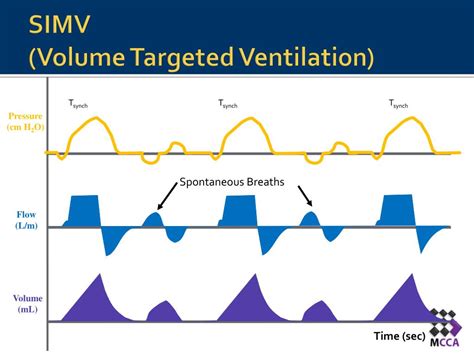 PPT Synchronized Intermittent Mandatory Ventilation SIMV PowerPoint Presentation ID 2453790