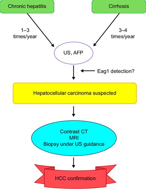 Follow Up For Patients At Risk Of Hcc Notes The Early Screening