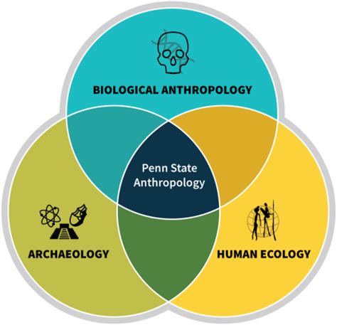 Home Department Of Anthropology