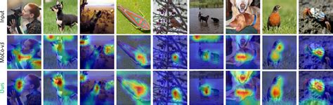 figure 1 from self supervised visual representation learning via residual momentum semantic