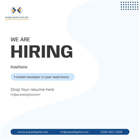 hiring hiringnow dotnet dotnetdeveloper netdeveloper net… pukat