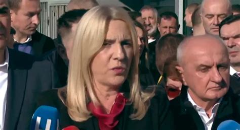 Цвијановић Сумњам да је на Стрику вршен притисак