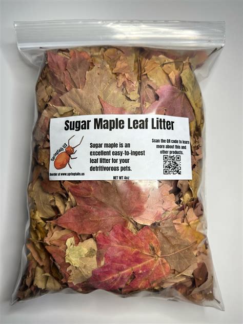 1 Stuffed Gallon 4oz Wt Sugar Maple Leaf Litter
