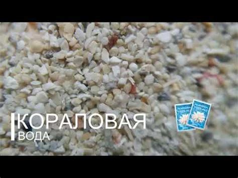 КОРЕАЛ коралловая вода это просто! Аврора - YouTube