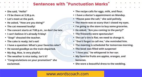 Punctuation Marks List Meaning Example Sentences Quotation Marks