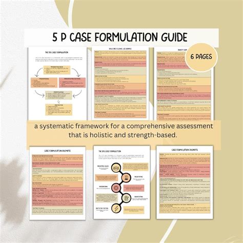 5 P Case Formulation Guide Mental Health Assessment Treatment