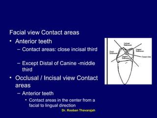 Tooth Morphology Chapter 1 Part 4 Ppt