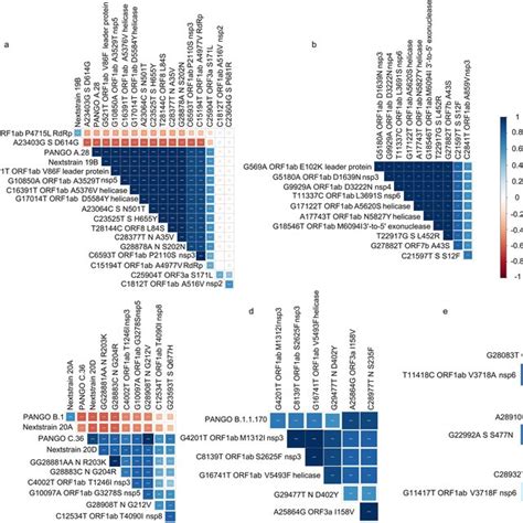 Bar Charts Showing Mutation Types And Mutations Affecting Protein A Download Scientific