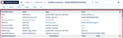 Salesforce Object Permissions By Johanna Paulamäki