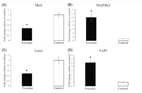 The Effect Of Uphill Endurance Treadmill Running On Alteration Of Left