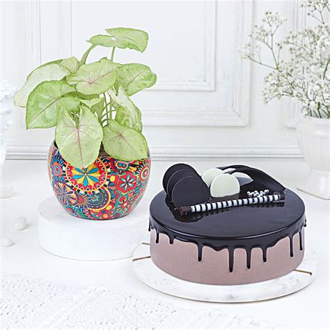 Buy Send Chocolate Ecstasy Online Fnp